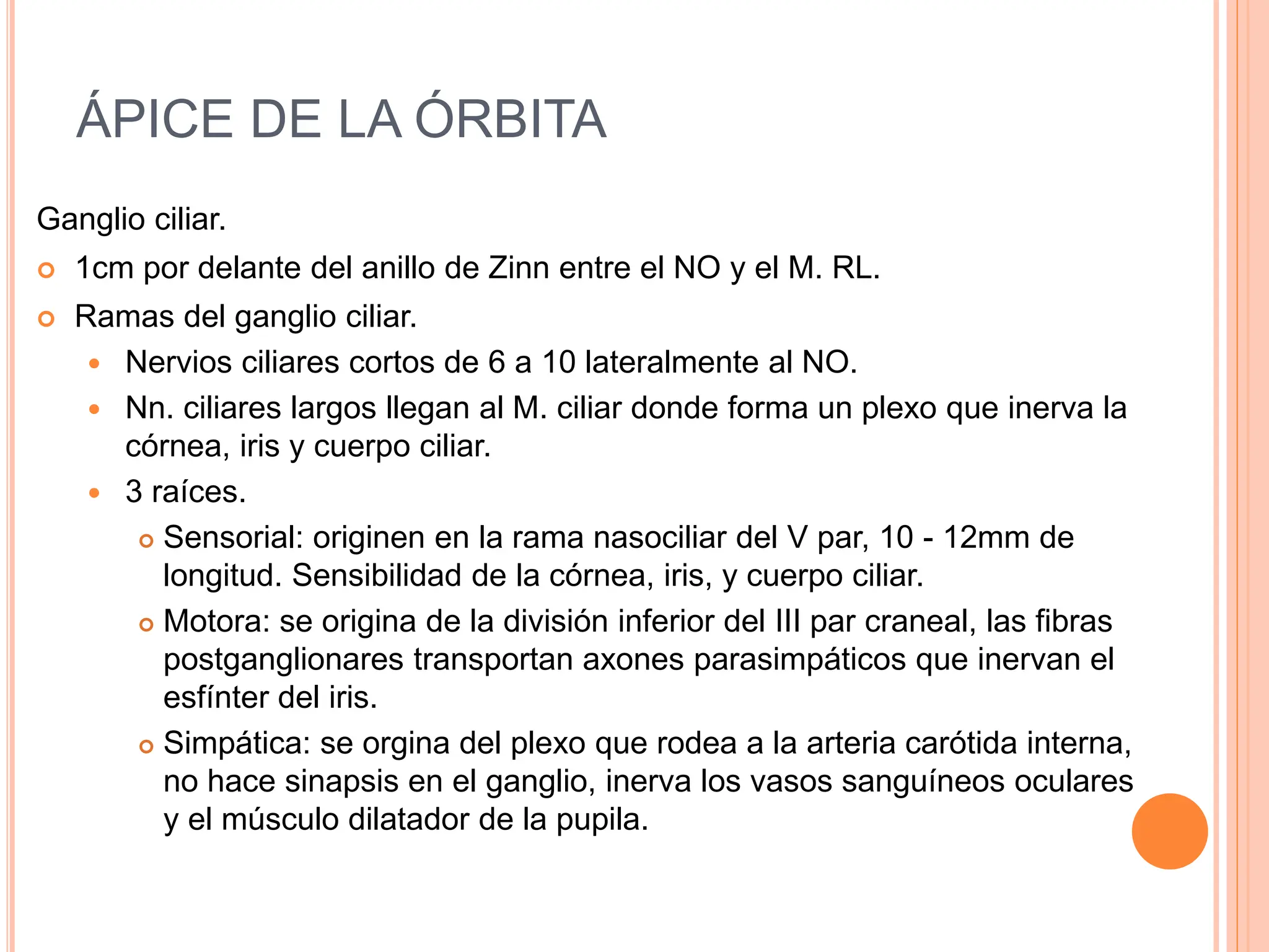 Anatomía Del aparato de la vision de la dra.Sonia Mejía | PPTX