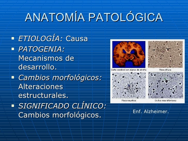 Anatomia Patologica