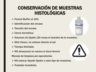 Anatomía patológica | PPTX