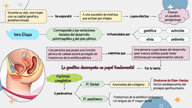 Anatomía patológica de los prolapsos genitourinarios tipos de prolapso.pdf