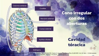 Anatomía pulmonar.pptx