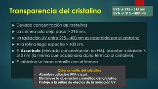 ANATOMÍA QUIRÚRGICA DEL CRISTALINO | PPTX
