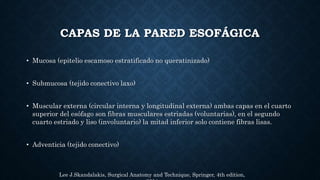 Anatomía quirúrgica del esófago | PPTX