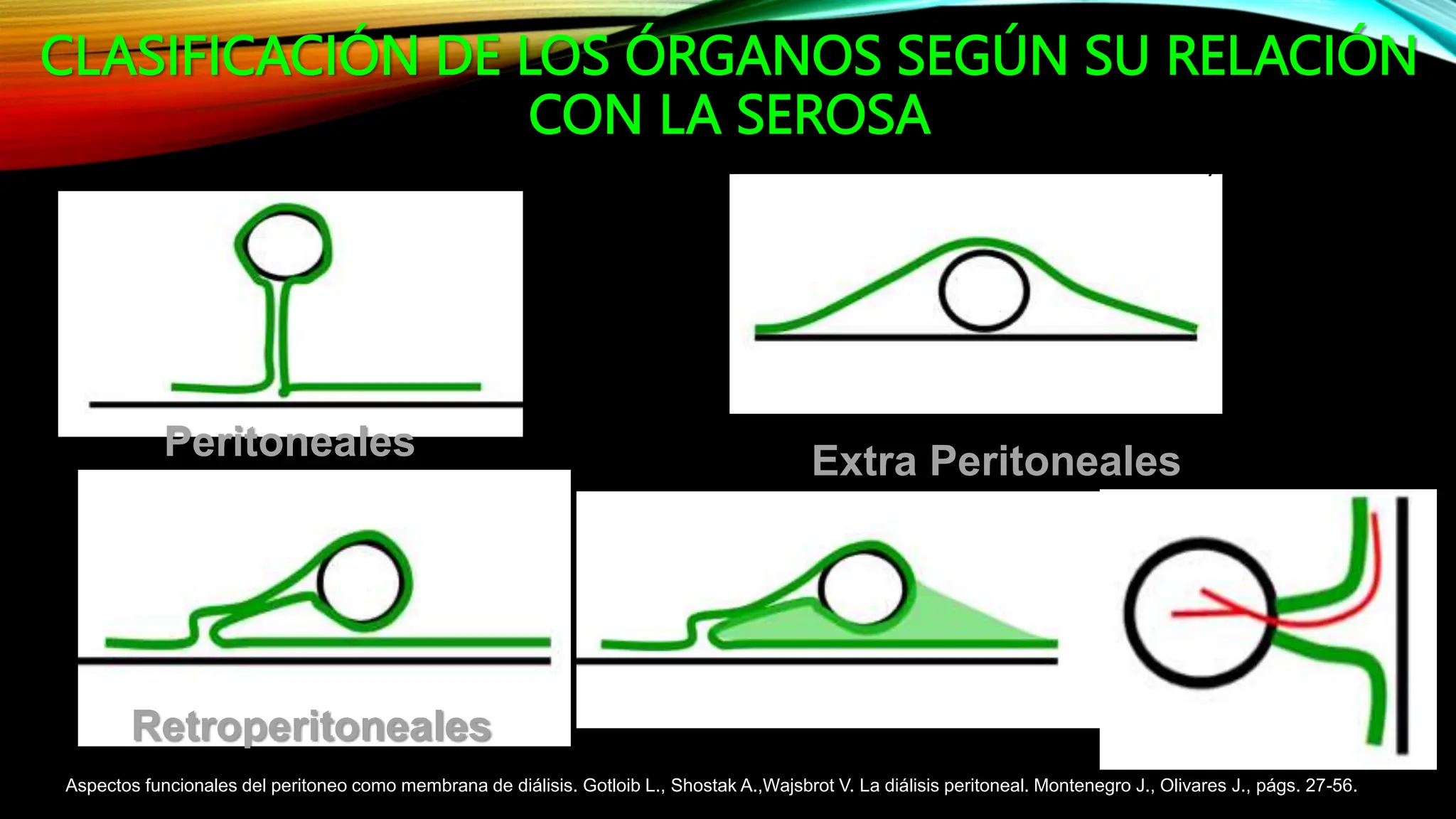 Anatomía quirúrgica y fisiología del peritoneo y retroperitoneo linda.pptx