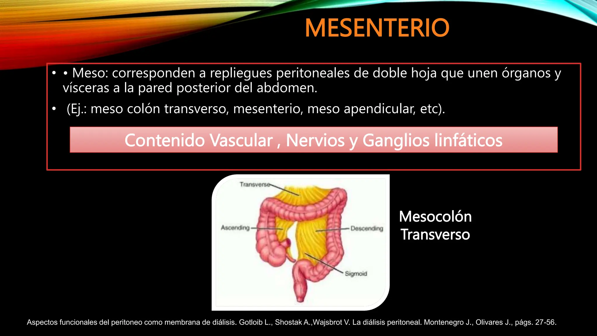 Anatomía quirúrgica y fisiología del peritoneo y retroperitoneo linda.pptx