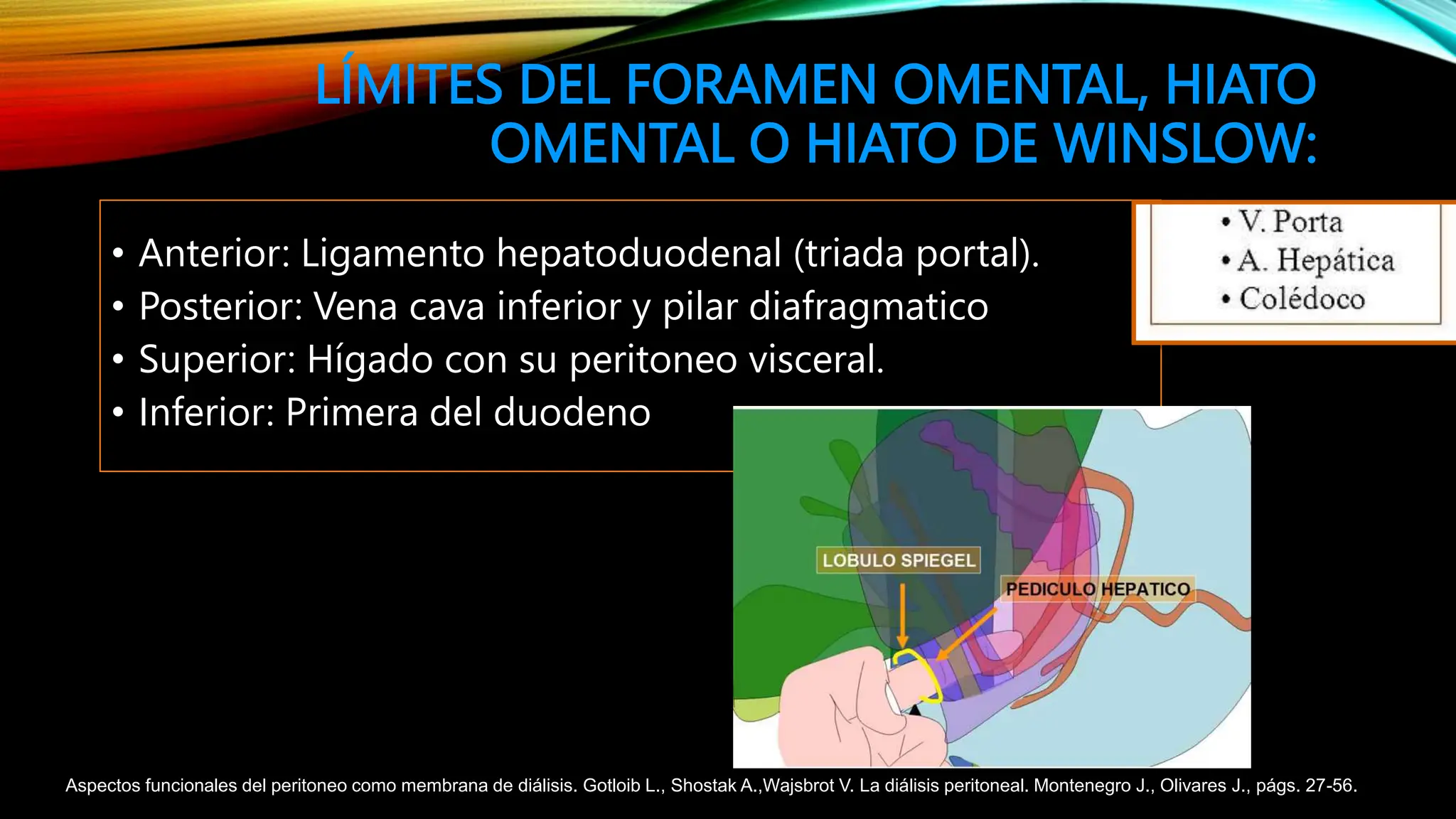 Anatomía quirúrgica y fisiología del peritoneo y retroperitoneo linda.pptx
