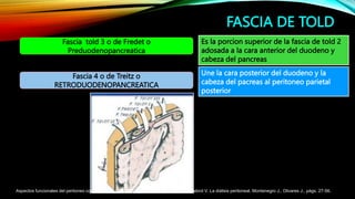 Anatomía quirúrgica y fisiología del peritoneo y retroperitoneo linda.pptx