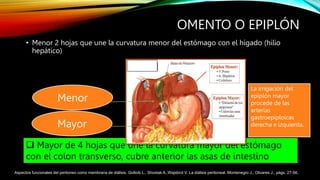 Anatomía quirúrgica y fisiología del peritoneo y retroperitoneo linda.pptx