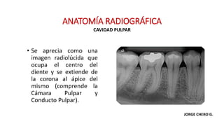 ANATOMÍA RADIOGRÁFICA DENTARIA Y DEL MAXILAR SUPERIOR | PPTX