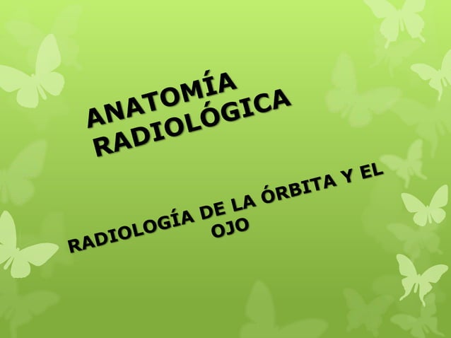 Anatomía radiológica de la órbita y el ojo | PPT