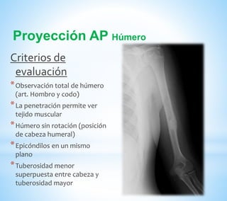 Anatomía radiológica de extremidad superior | PPTX