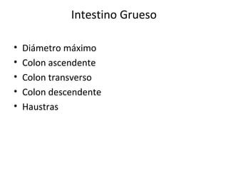 Anatomía radiológica del abdomen | PPT
