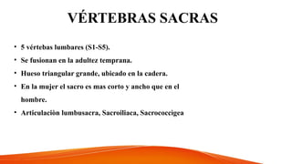 Anatomía, Semiología y Patologías del Raquis: Estudio Completo de la ...