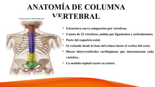 Anatomía, Semiología y Patologías del Raquis: Estudio Completo de la ...
