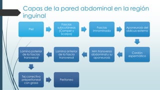 Anatomía región inguinal.pdf