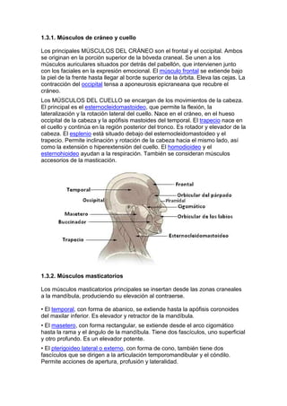 Anatomía regional de cabeza y cuello | PDF