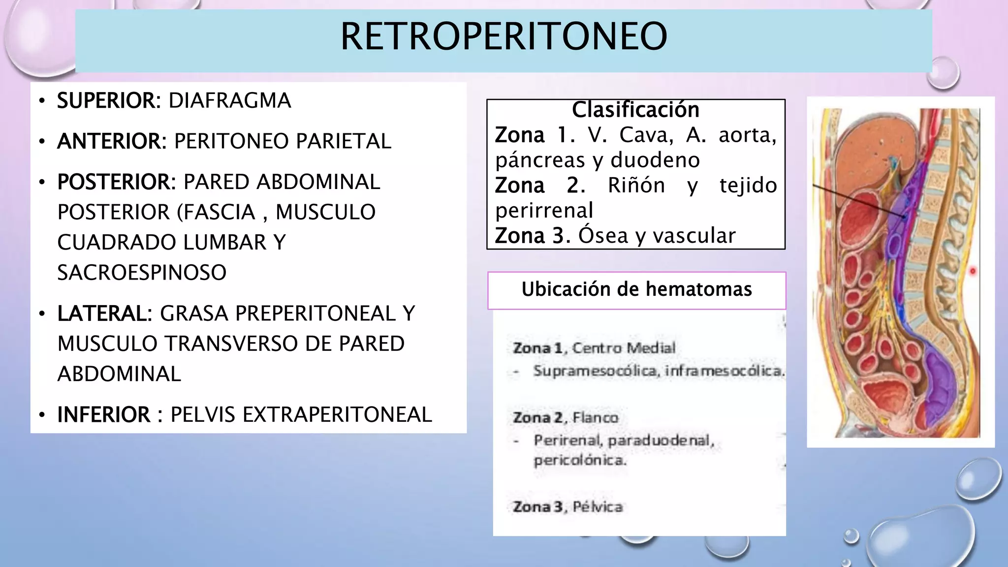 Anatomía retroperitoneo y riñon ppt.pptx