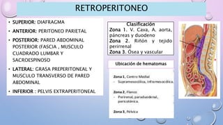 Anatomía retroperitoneo y riñon ppt.pptx