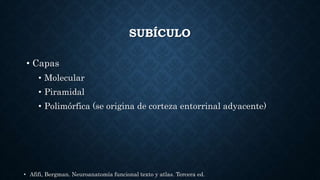 Anatomía Sistema límbico.pptx