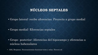 Anatomía Sistema límbico.pptx