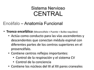 Resumen Anatomía SNC y SNP | PPTX