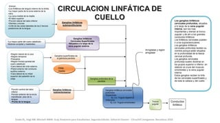 Anatomía topográfica de cuello.pptx