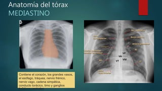 ANATOMÍA TORAX.pptx