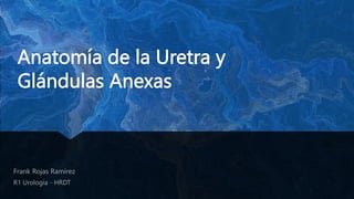 Anatomía Uretra.pptx