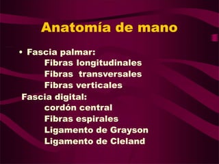 Anatomía y cirugía de mano p.pptx