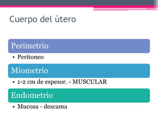 Anatomía y embriología del aparato reproductor femenino | PPTX