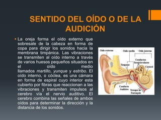 Anatomía y estructura de los cinco sentidos | PPTX