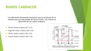 Anatomía y fisiología cardíaca | PPTX