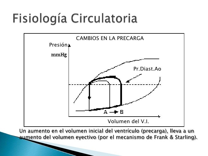 Anatomía y fisiología cardiacas