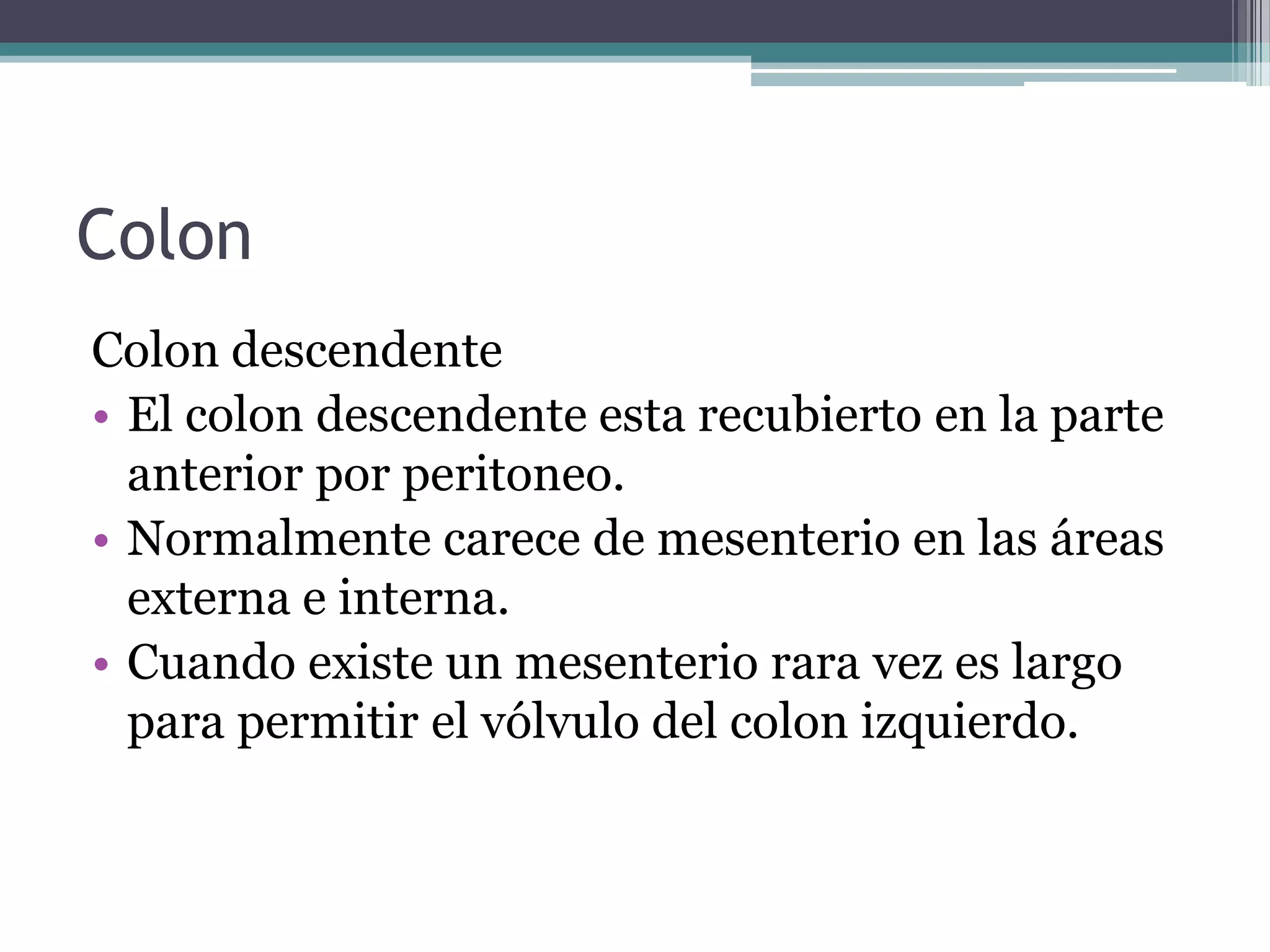 Anatomía y fisiología de colon | PPTX