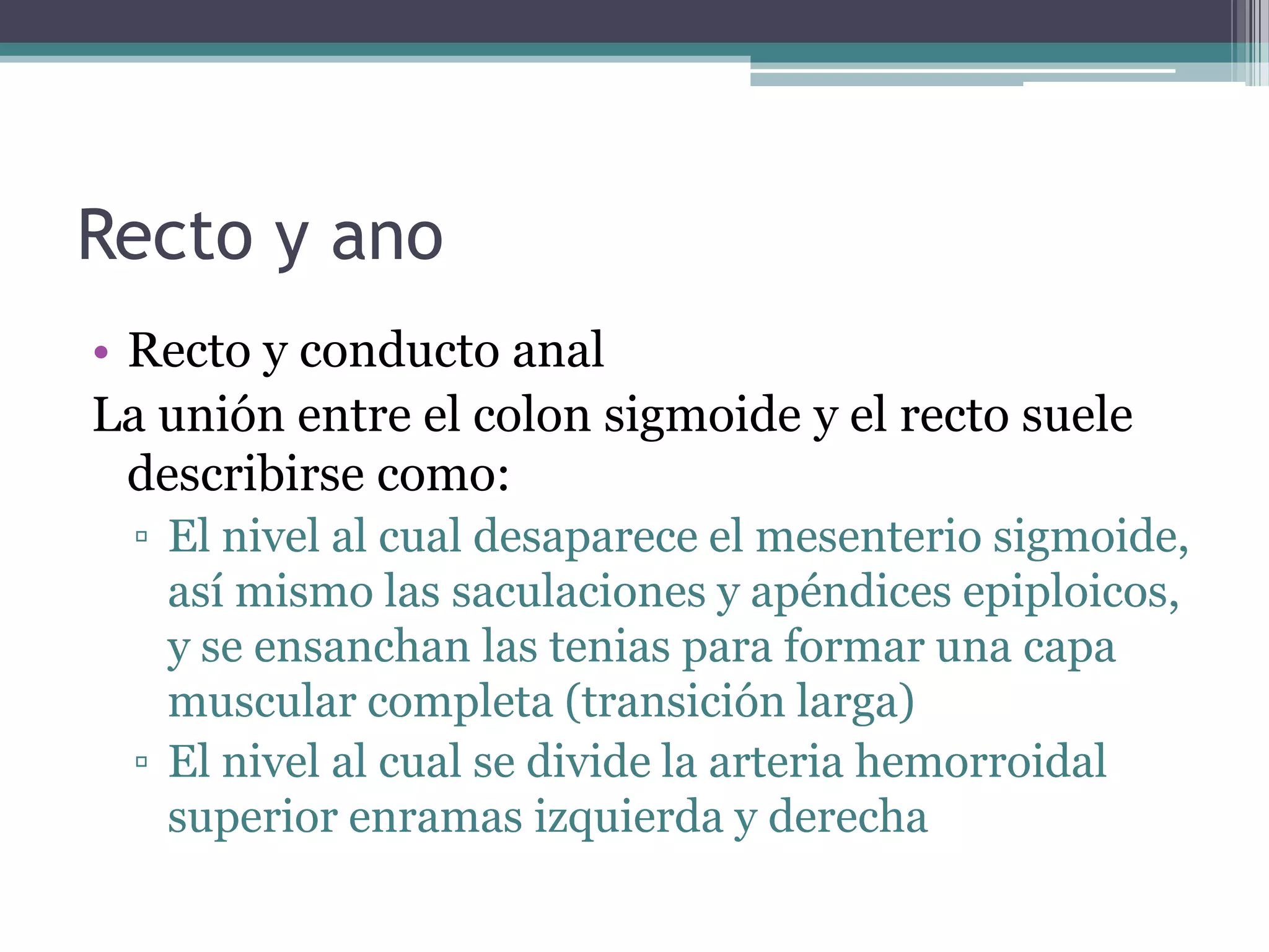 Anatomía y fisiología de colon | PPTX