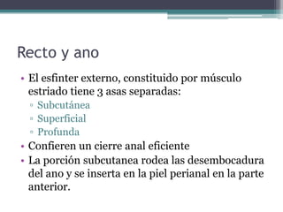 Anatomía y fisiología de colon | PPTX