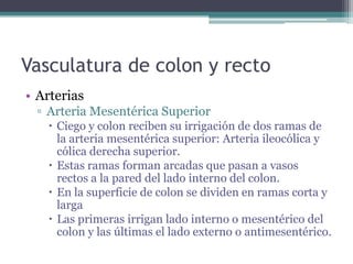 Anatomía y fisiología de colon | PPTX