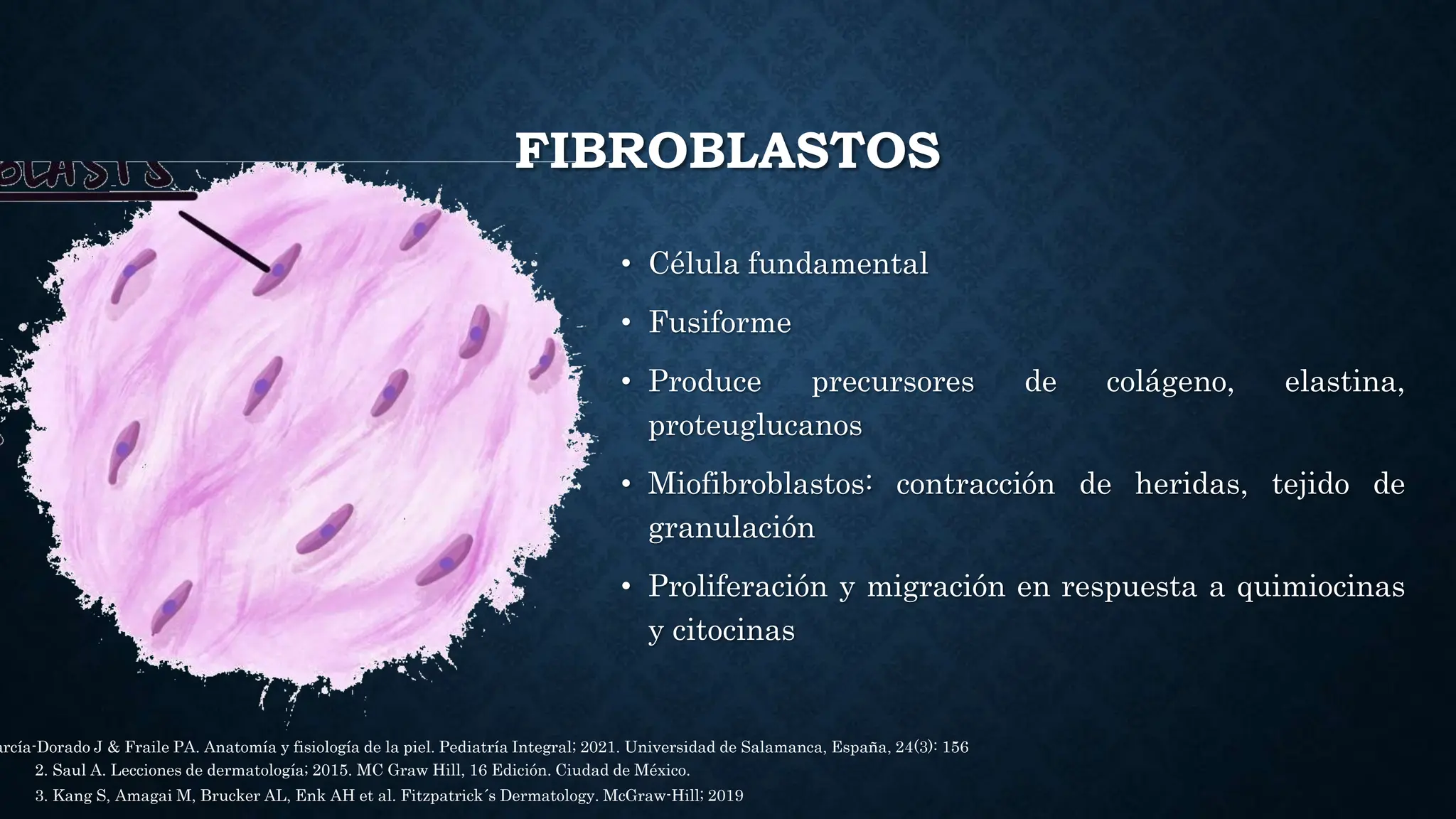 Anatomía y fisiología de dermis y tejido celular subcutáneo.pptx | Skin ...