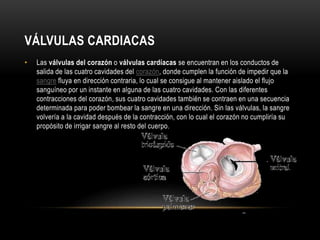 Anatomía y fisiología del corazon | PPTX