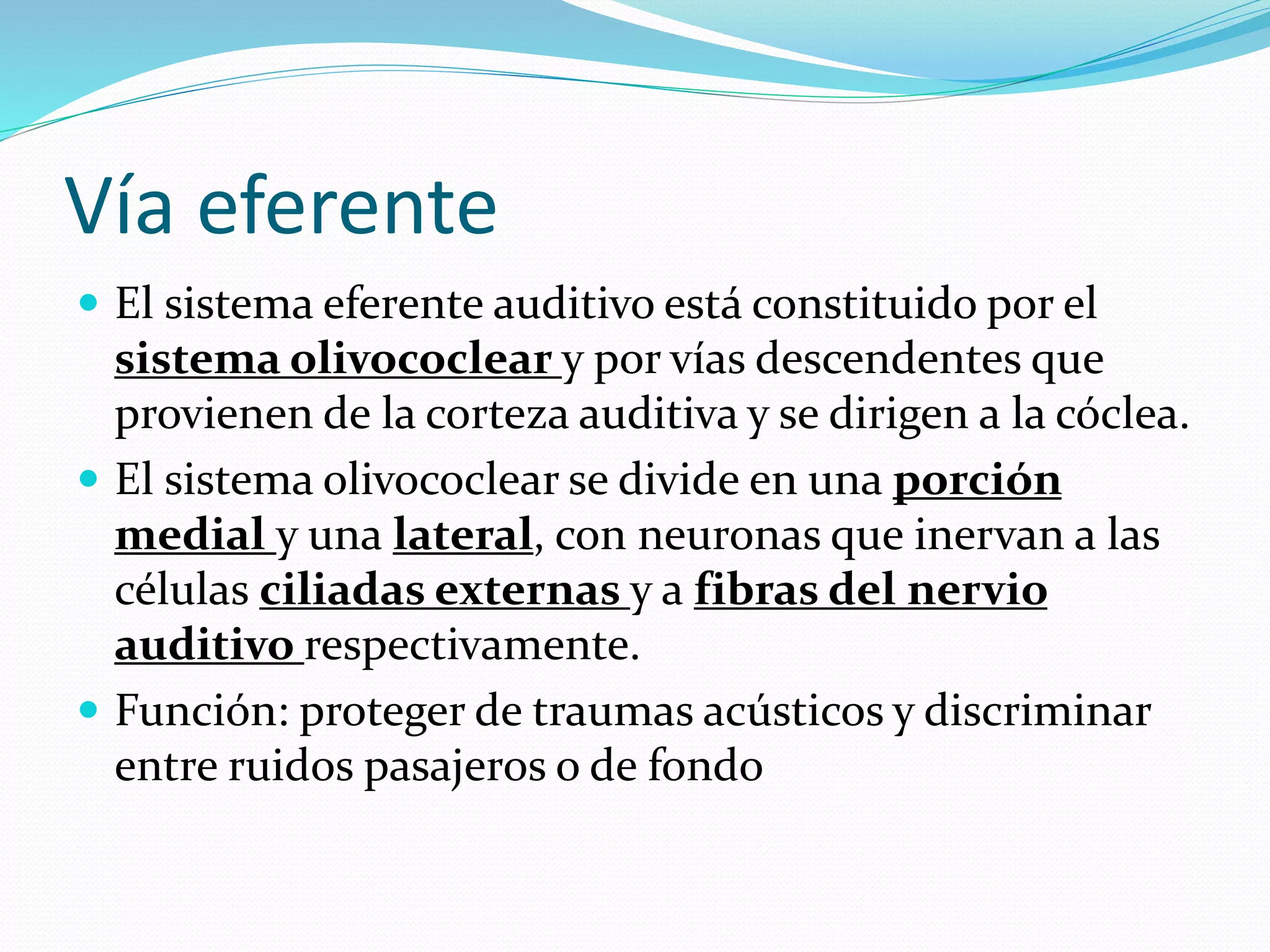 Anatomía y fisiología de la audición | PPTX