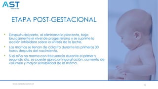 Anatomía y fisiología de la mama.pdf
