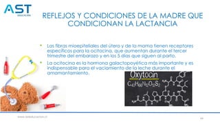 Anatomía y fisiología de la mama.pdf