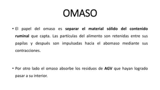 Anatomía y fisiología del aparato digestivo de los rumiantes | PPTX