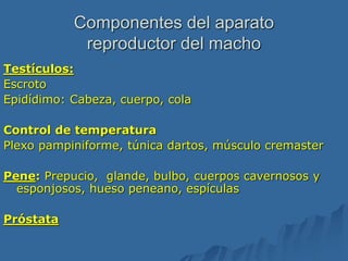 Anatomía y fisiología del aparato reproductor.ppt
