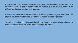 Anatomía y fisiología del aparato reproductor femenino | PPTX