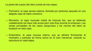Anatomía y fisiología del aparato reproductor femenino | PPTX