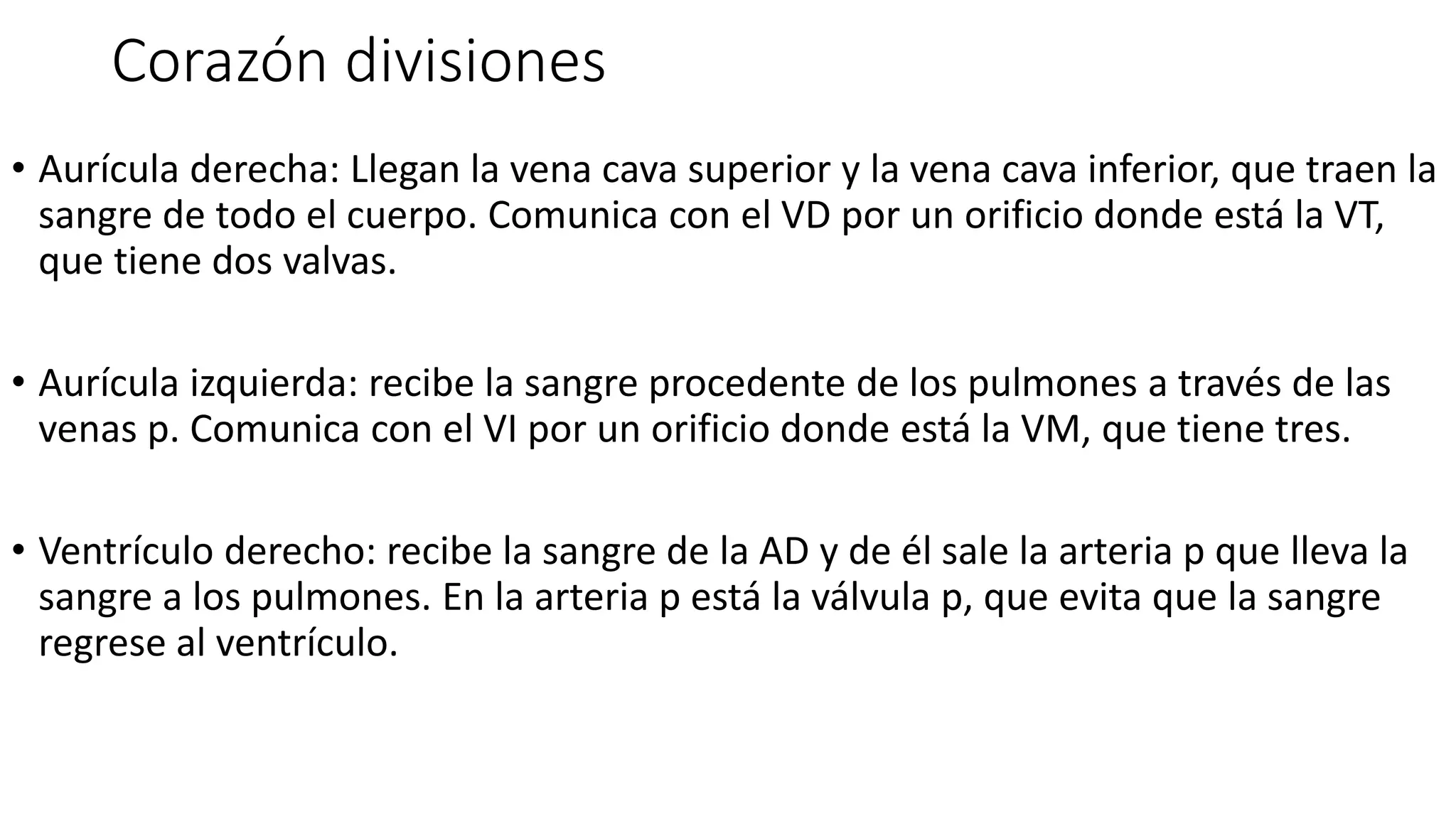 Anatomía y fisiología del aparato respiratorio.pptx | Lung and ...