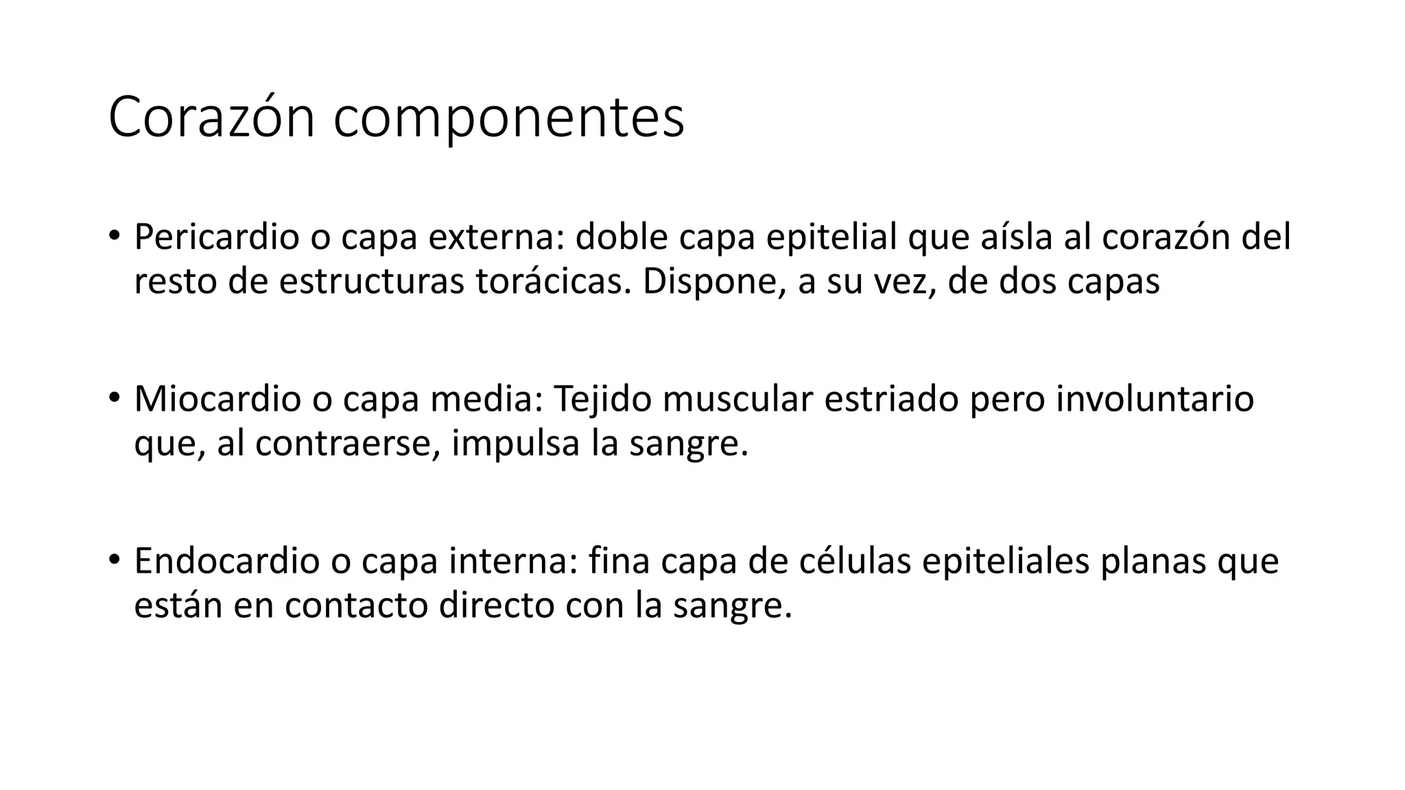 Anatomía y fisiología del aparato respiratorio.pptx | Lung and ...