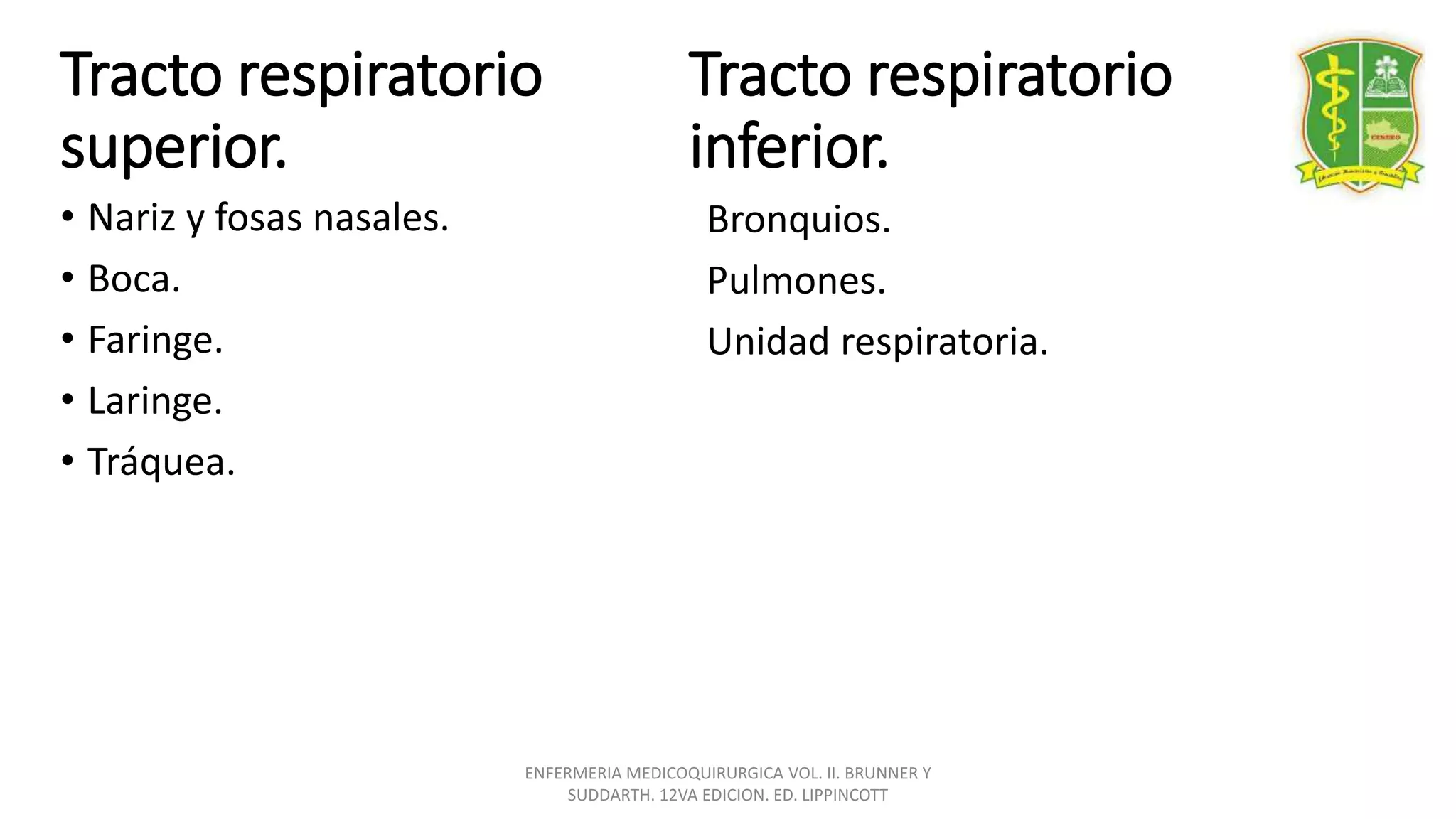 Anatomía y fisiología del aparato respiratorio.pptx | Lung and ...