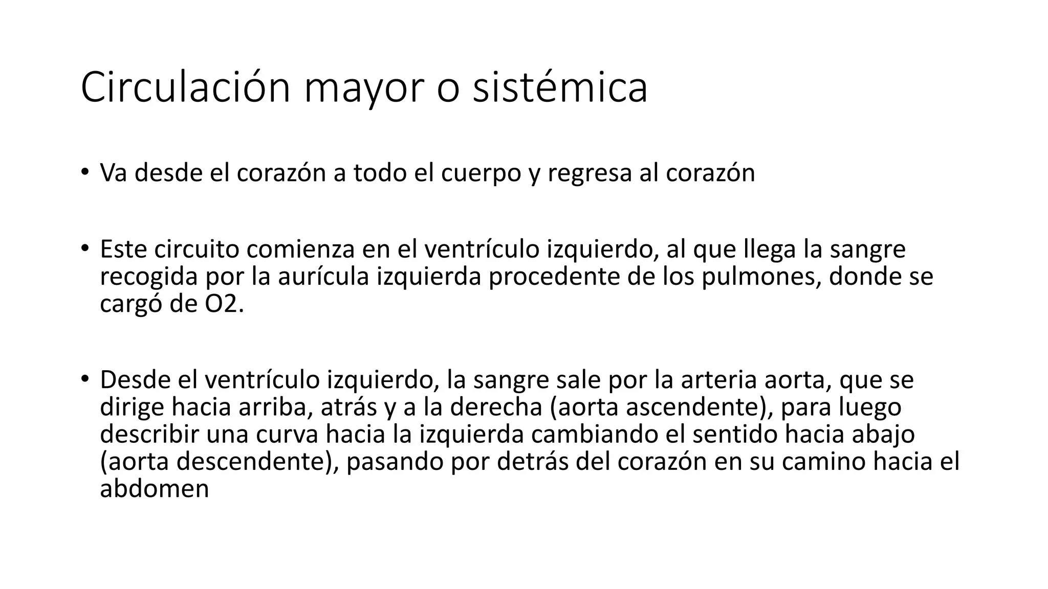 Anatomía y fisiología del aparato respiratorio.pptx | Lung and ...